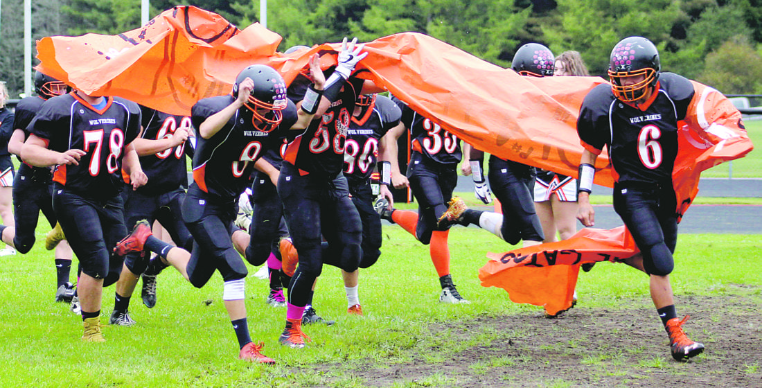 Uncertain Future: Low numbers raising major concerns for viability of ...